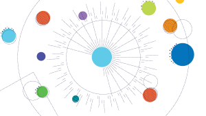 The Story of IFES · IFES